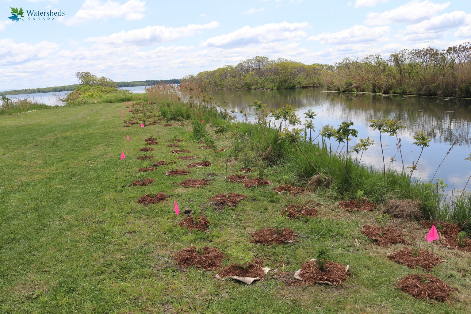 “Sustaining Our Freshwater” for today and tomorrow - Watersheds Canada ...