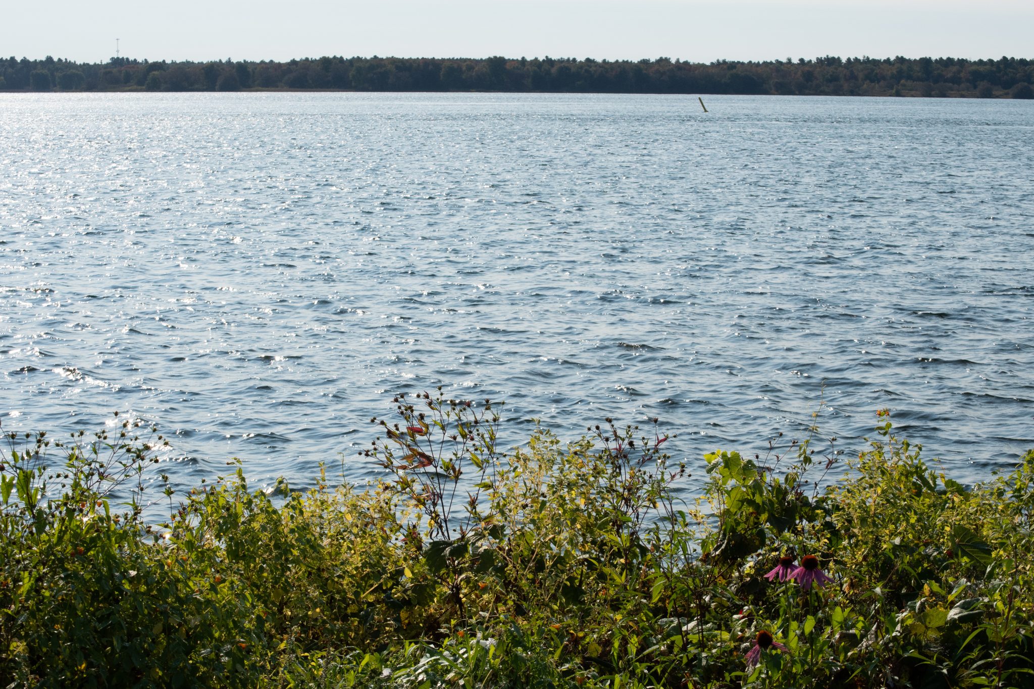Economic Value of Green Infrastructure - Watersheds Canada – Work, Live ...