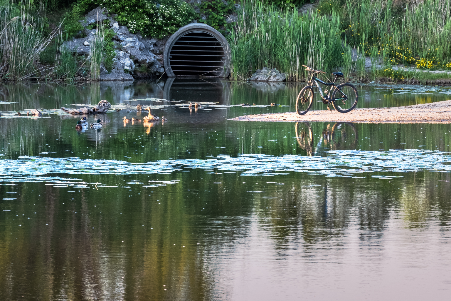 Economic Value of Green Infrastructure - Watersheds Canada – Work, Live ...