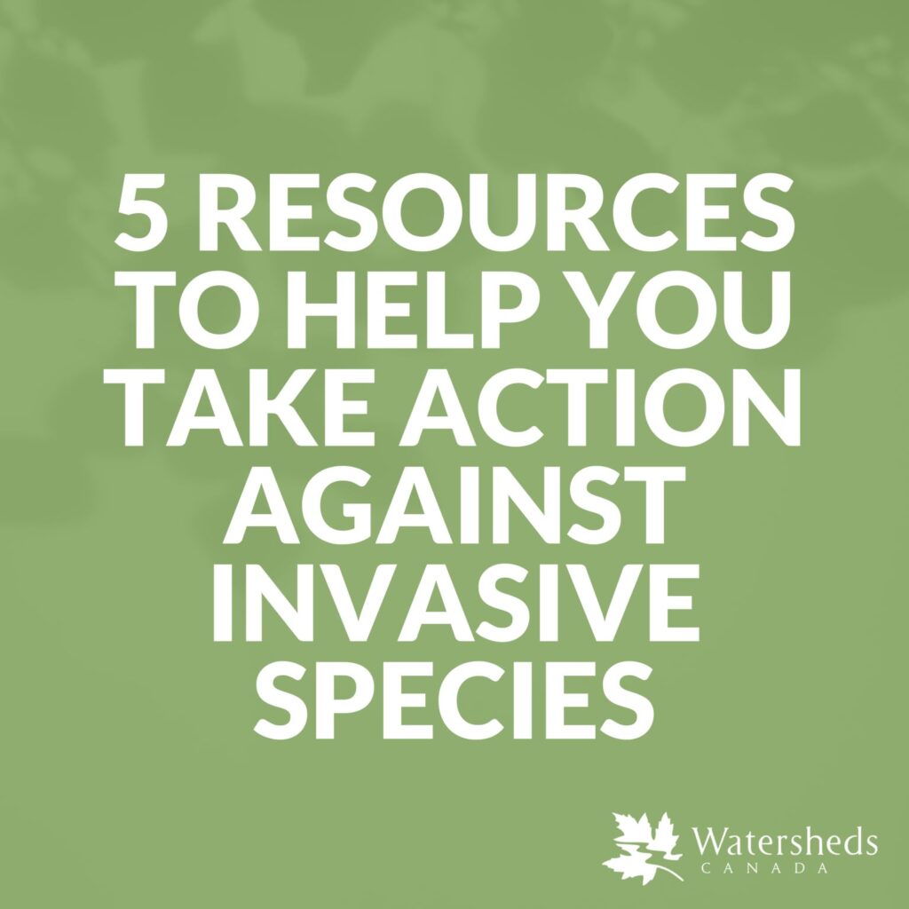 Invasive Species Awareness Week 2025 recap - Watersheds Canada – Work ...