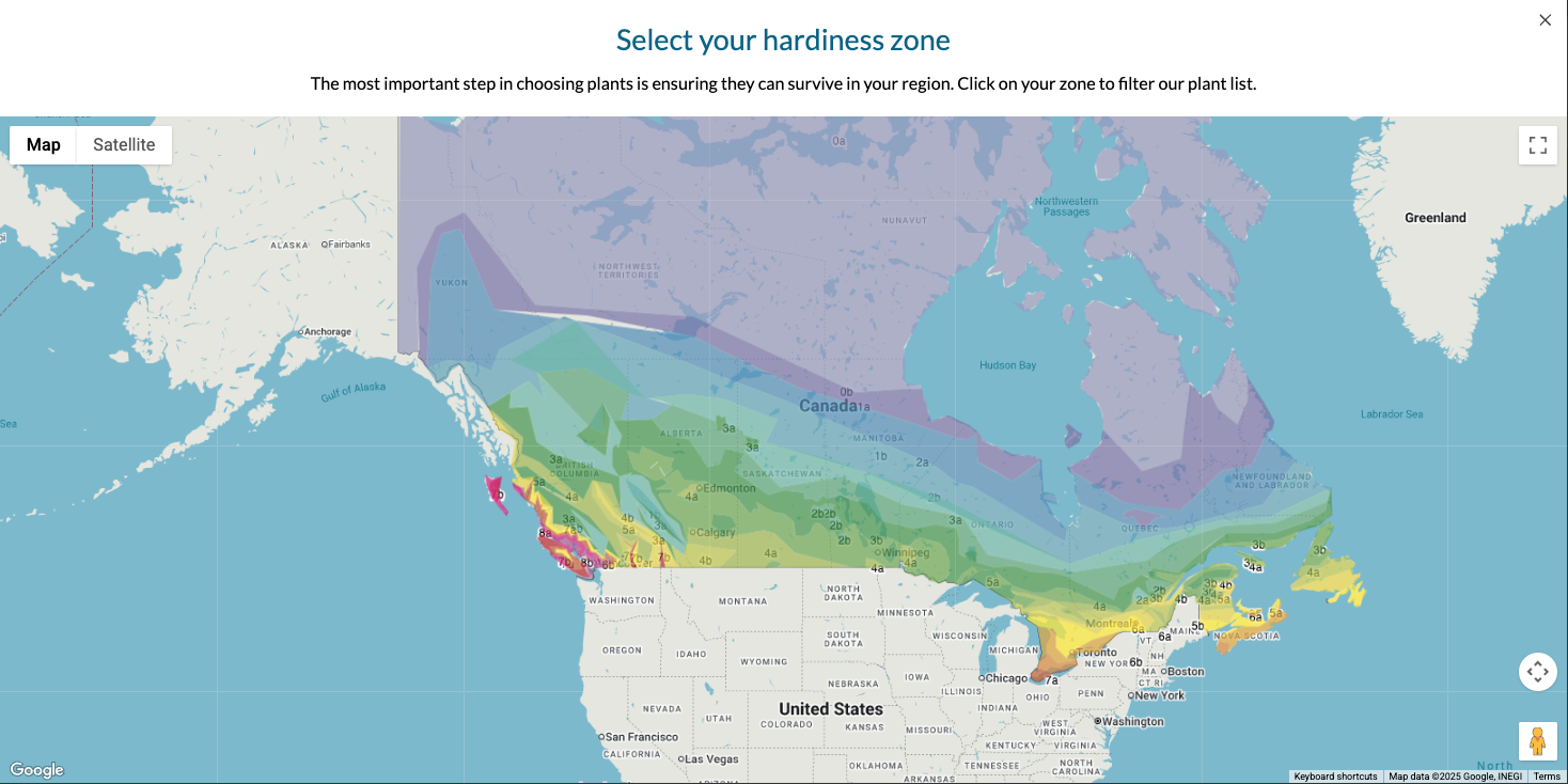 Changing your Shoreline Practices: Using The Natural Edge’s Native ...